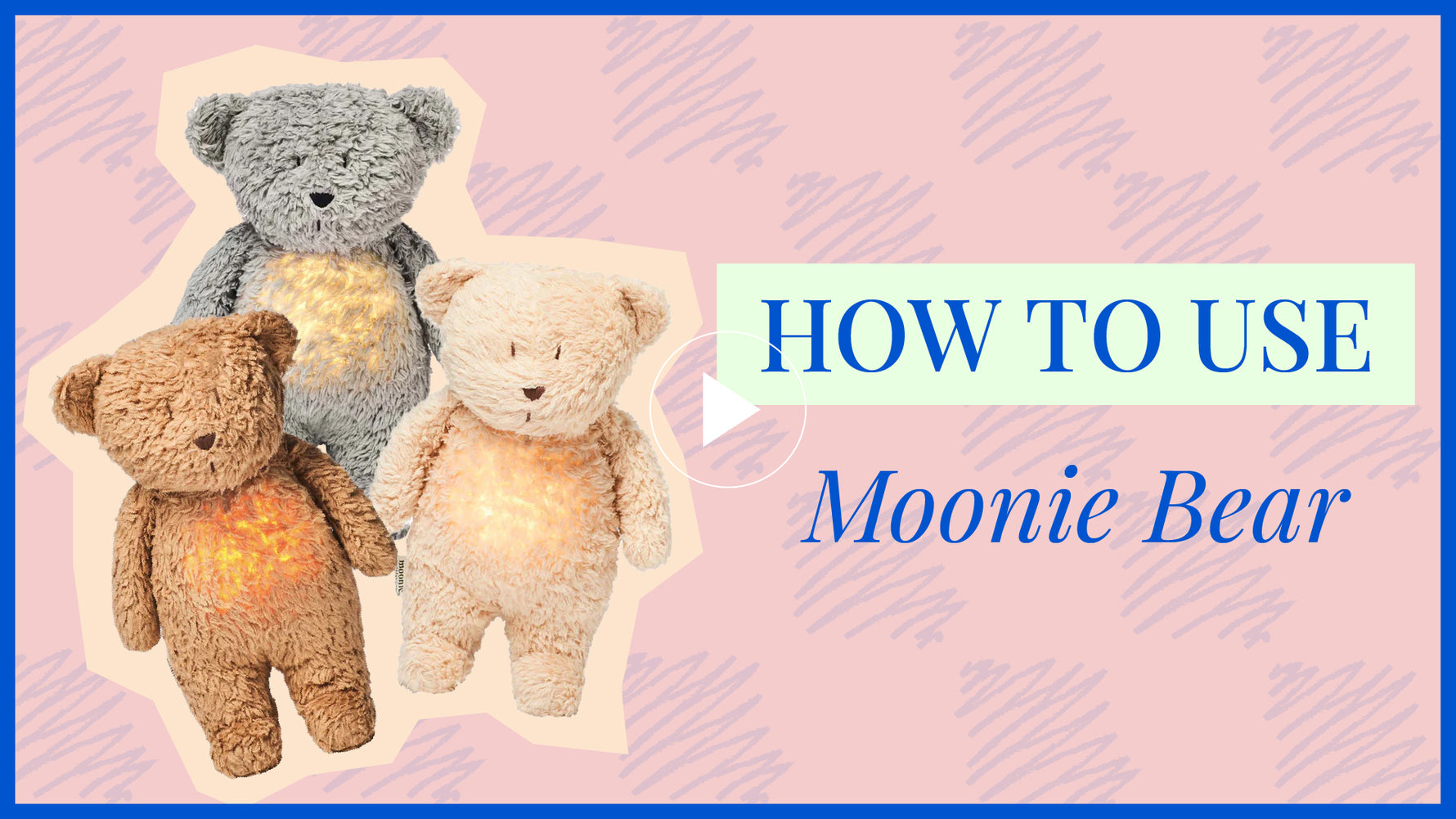 How to Use the Moonie Bear – The Memo