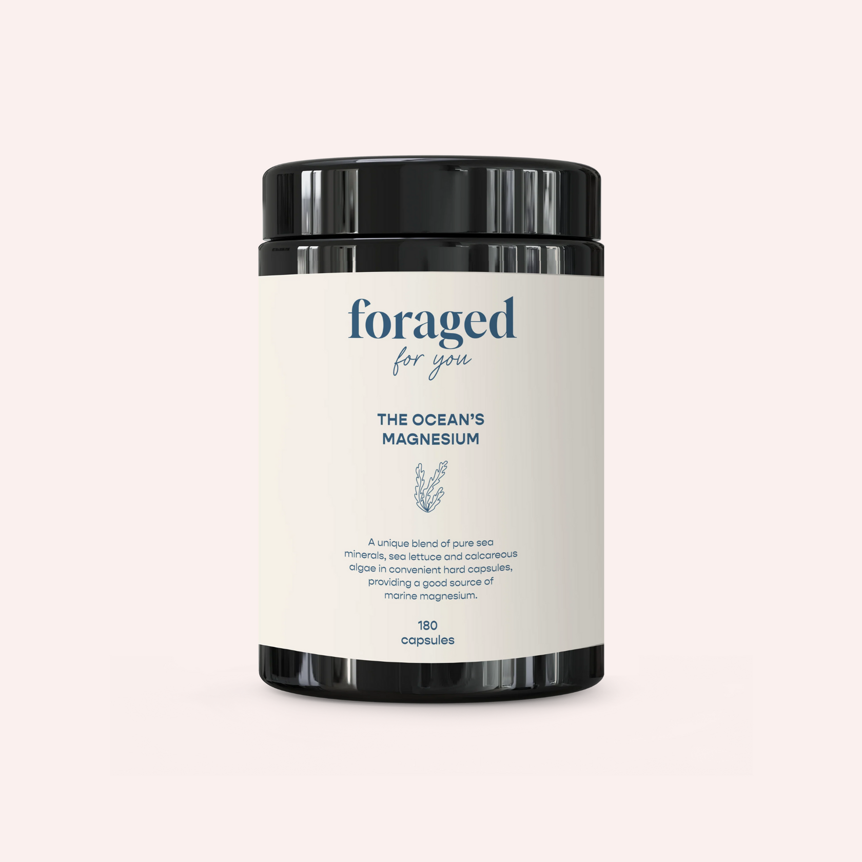 The Ocean's Magnesium by Foraged for You | the memo – The Memo