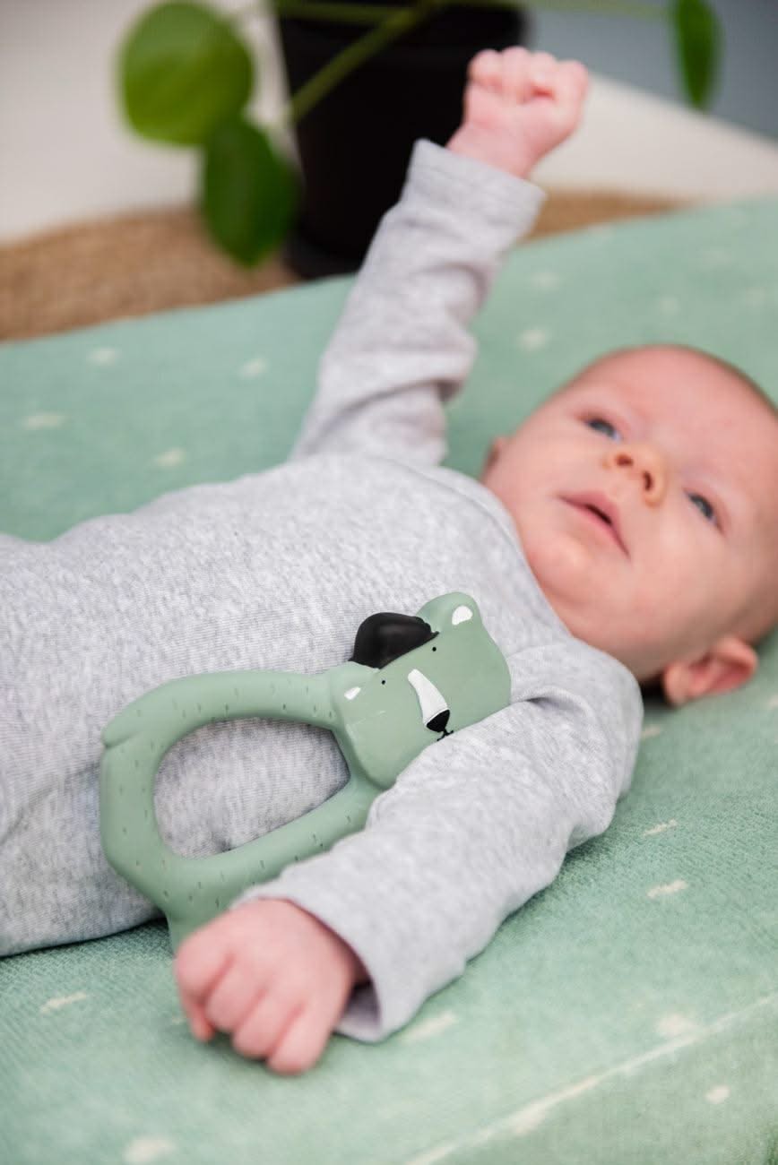 Shop Trixie Baby Toys | the memo